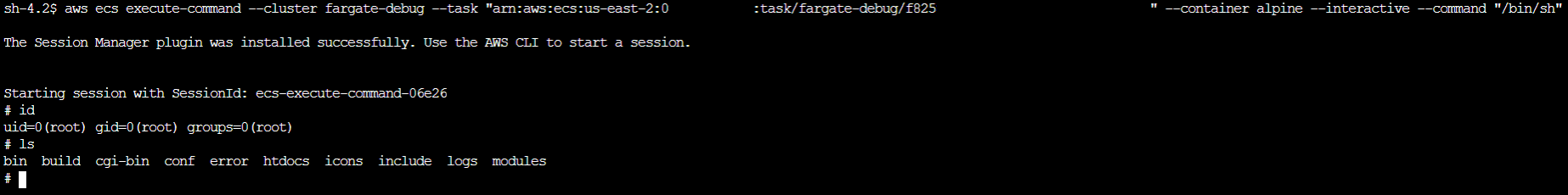 How To Execute Commands In Your Aws Ecs Containers