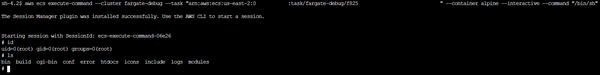 How To Execute Commands In Your Aws Ecs Containers
